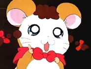 Pepper/Gallery | The Hamtaro Wiki | Fandom