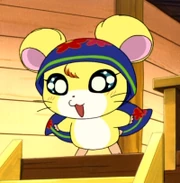Okini | Hamtaro Wiki | Fandom