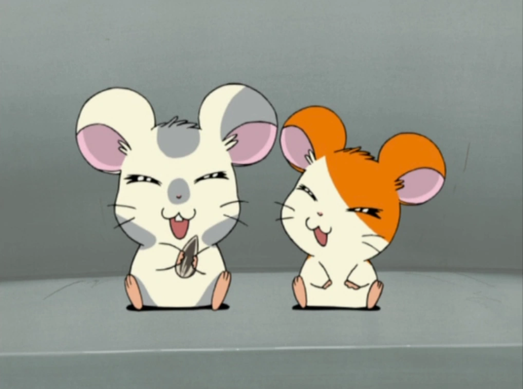 Oxnard and Pepper/Gallery | The Hamtaro Wiki | Fandom