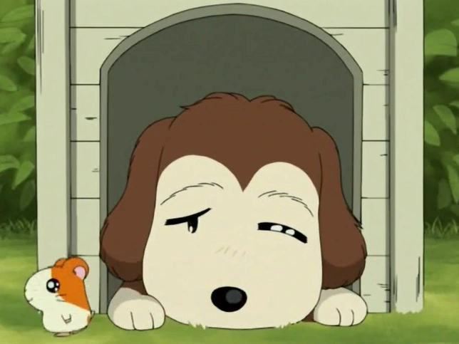 Panda's Ham-Ham Fun Park!/Gallery | The Hamtaro Wiki | Fandom