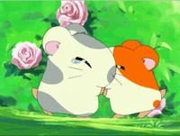 EP001 | Hamtaro Wiki | Fandom