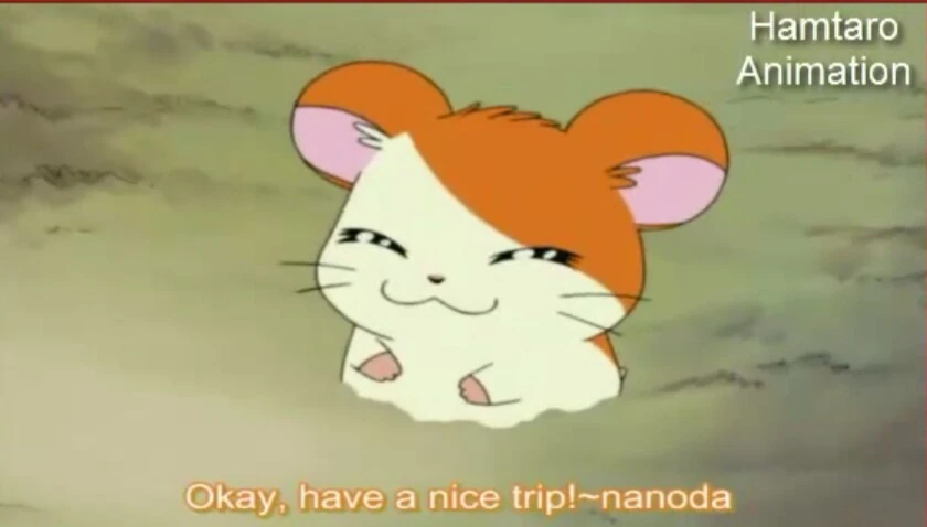 Sparkle's Vacation/Gallery | The Hamtaro Wiki | Fandom