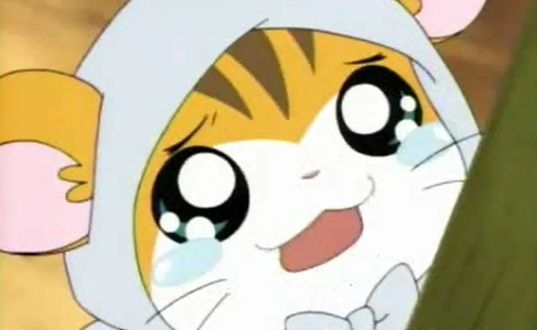 Clubhouse Intruders | The Hamtaro Wiki | Fandom