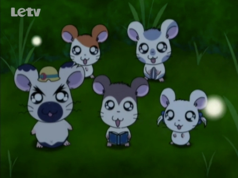 Searching for Fireflies | The Hamtaro Wiki | Fandom