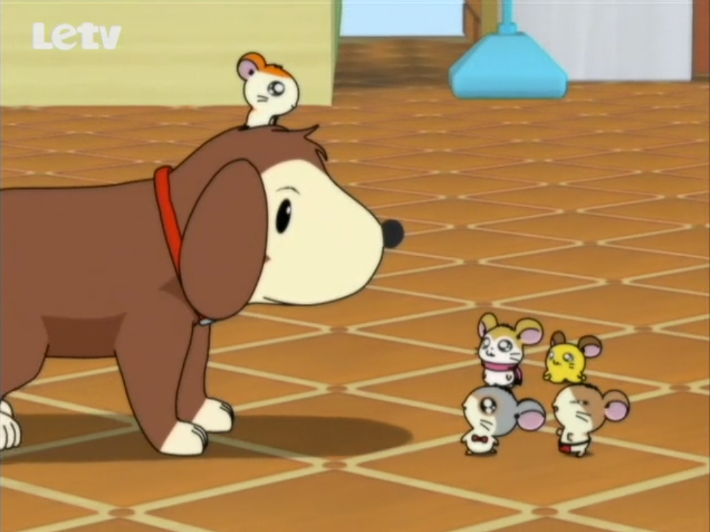 Rivals of Love | The Hamtaro Wiki | Fandom