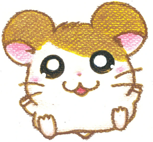 Hamtaro: Ham-Hams Unite! | The Hamtaro Wiki | Fandom