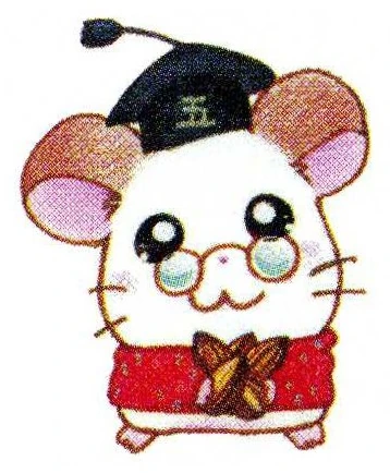 Teacher Ham 5 | The Hamtaro Wiki | Fandom