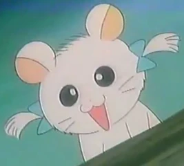 Bijou | The Hamtaro Wiki | Fandom