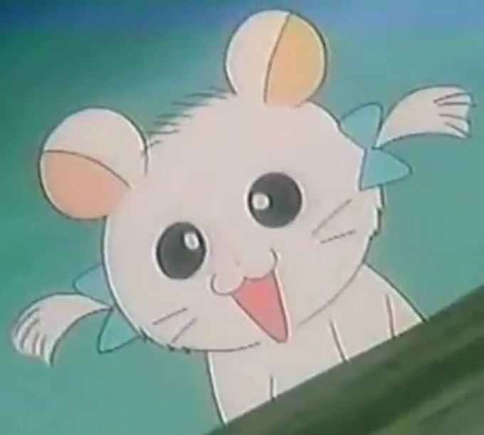 Hamtaro Bijou Human
