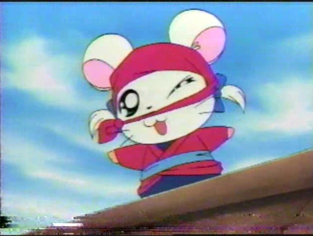Young Girl Thieves of Justice!/Gallery | The Hamtaro Wiki | Fandom