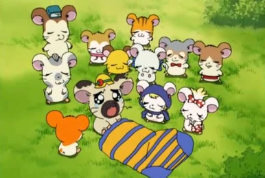 Hamtaro En Vrienden