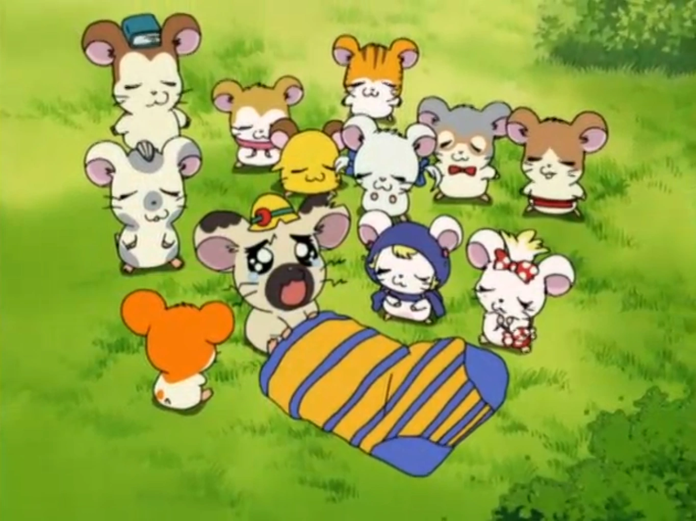 Hamtaro Personages Baas Pleasing Boss | The Hamtaro Wiki | Fandom