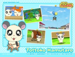 Hamtaro Panda