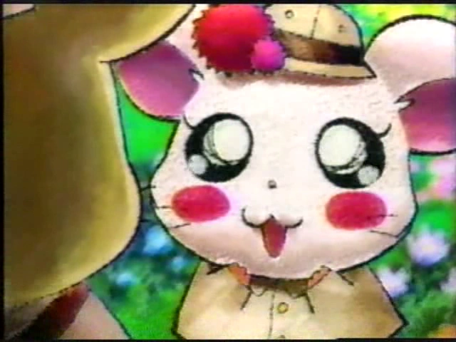 Nana/Gallery | The Hamtaro Wiki | Fandom