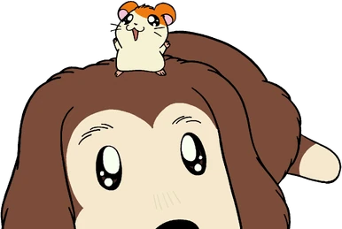 Travis Hamtaro