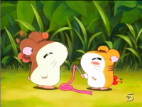 EP013 | Hamtaro Wiki | Fandom