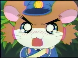 Hamtaro Sparkle Episode