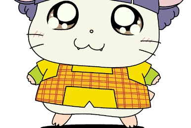 Hamtaro Okini