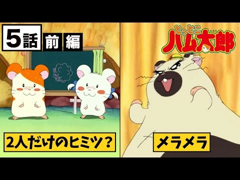 Diamonds of Sugar | The Hamtaro Wiki | Fandom