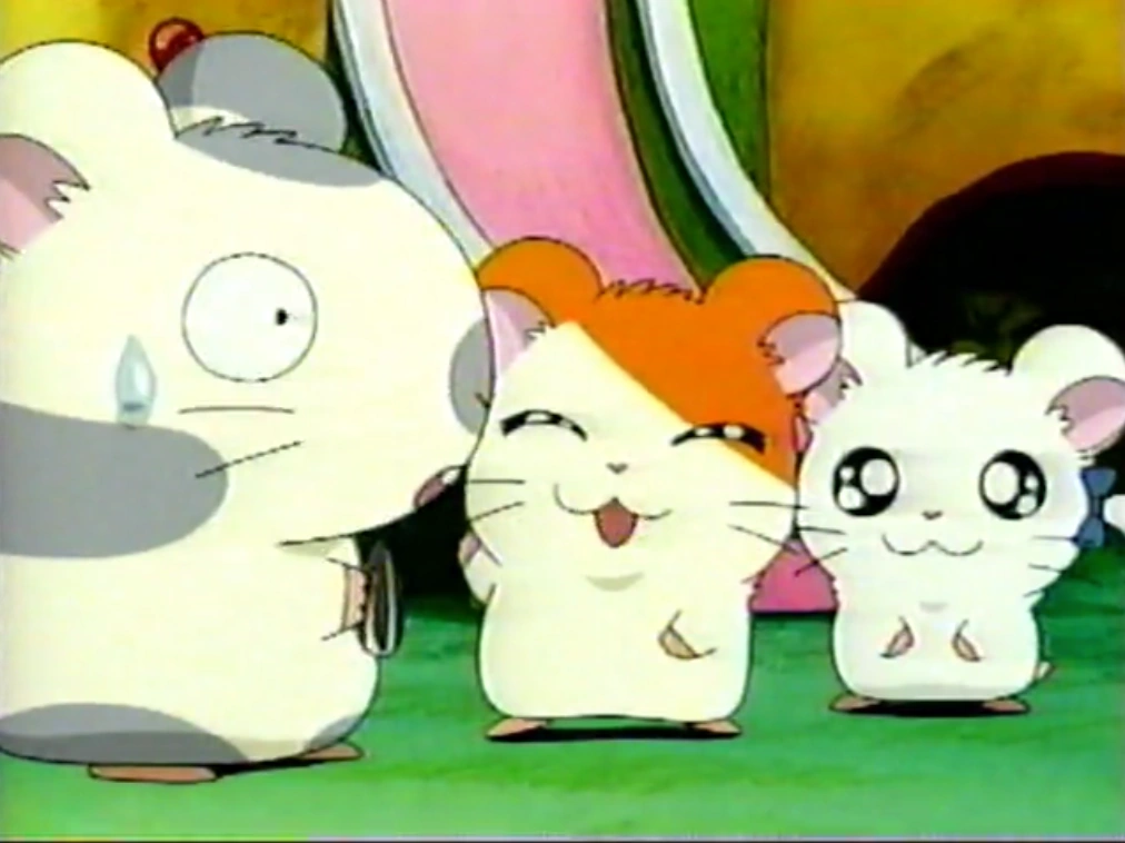 The Sports Festival!/Gallery | The Hamtaro Wiki | Fandom