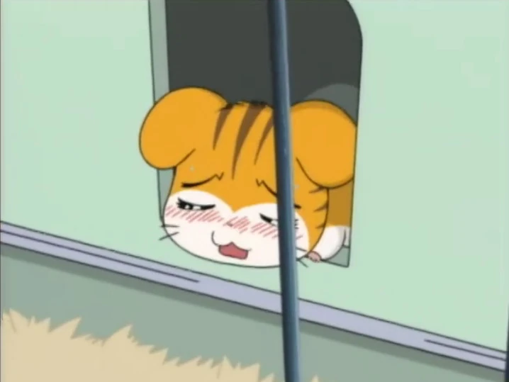 I'm Worried About My Sister! | The Hamtaro Wiki | Fandom