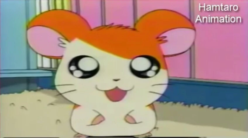 Sparkle in Love/Gallery | The Hamtaro Wiki | Fandom