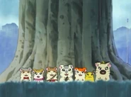 The Ham-Ham Clubhouse (episode)/Gallery | The Hamtaro Wiki | Fandom