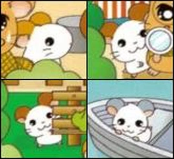 Hamtaro Peper Pepper/Gallery | The Hamtaro Wiki | Fandom