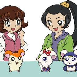 Hamtaro Human Characters