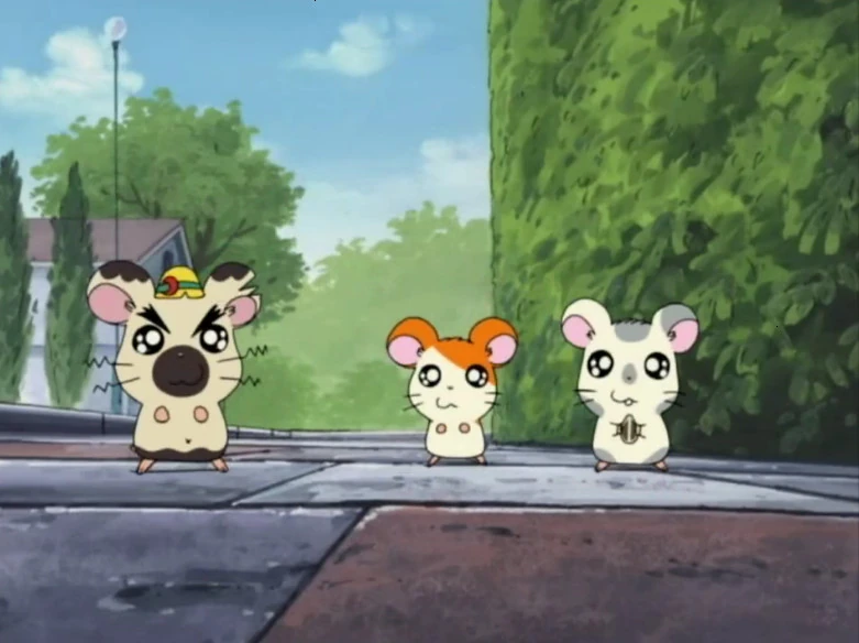 Mimi's Sports Day!/Gallery | The Hamtaro Wiki | Fandom