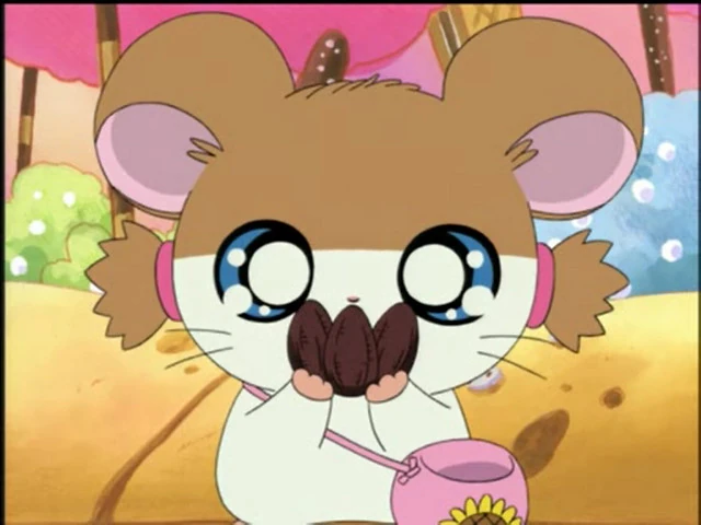 Love Love, Valentine! | The Hamtaro Wiki | Fandom