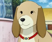 Maria's House | The Hamtaro Wiki | Fandom