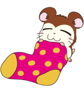 Snoozer/Gallery | The Hamtaro Wiki | Fandom