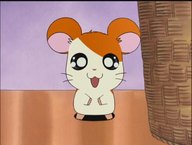 It's Santa, Merry Christmas!/Gallery | The Hamtaro Wiki | Fandom