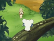 Princess/Gallery | The Hamtaro Wiki | Fandom