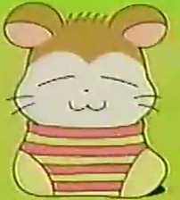 Snoozer | The Hamtaro Wiki | Fandom
