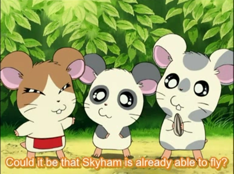 Seeds! Okini/Gallery | The Hamtaro Wiki | Fandom