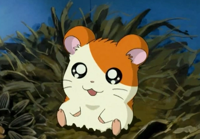 The Slipper Chase/Gallery | The Hamtaro Wiki | Fandom