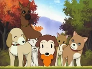 Princess/Gallery | The Hamtaro Wiki | Fandom