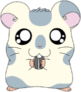 Pet House | The Hamtaro Wiki | Fandom