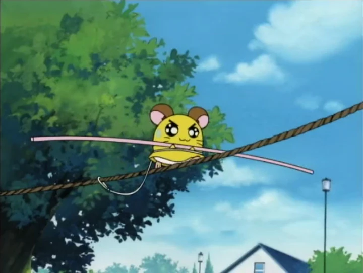 The Tightrope of Love! | The Hamtaro Wiki | Fandom