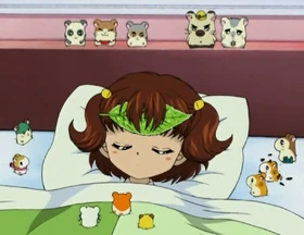 Get Well, Laura | The Hamtaro Wiki | Fandom