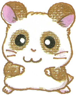Panda | The Hamtaro Wiki | Fandom