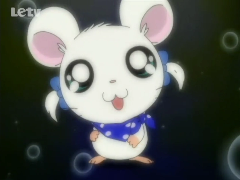 Fashion Show/Gallery | The Hamtaro Wiki | Fandom