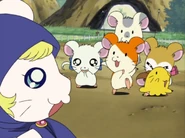 Appearance of the Muha-Muha Alien!/Gallery | The Hamtaro Wiki | Fandom