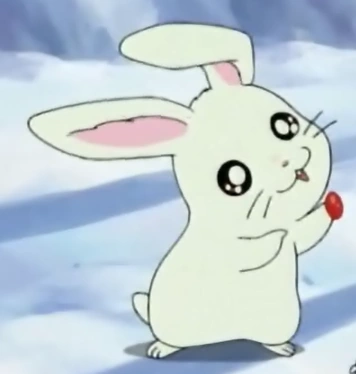Miss Rabbit | The Hamtaro Wiki | Fandom