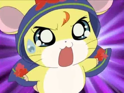 Hamtaro Okini Ham Ham Paradise