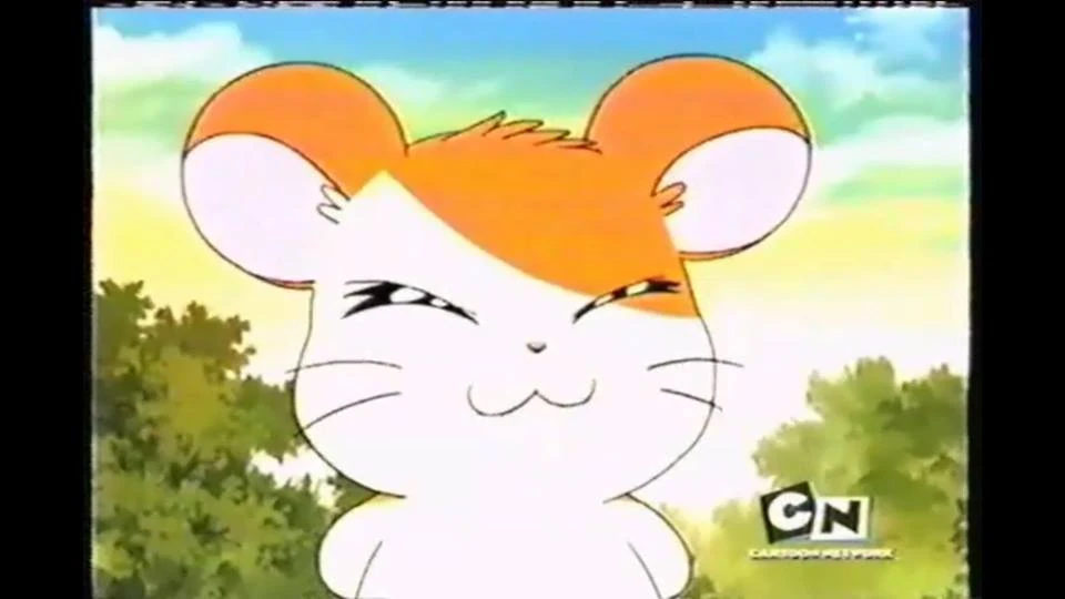 Ham-Ham Halloween!/Gallery | The Hamtaro Wiki | Fandom