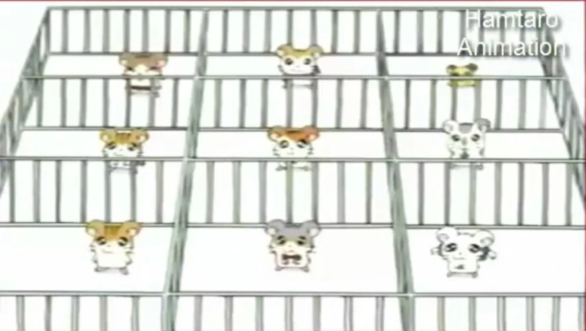 Sweet Little Flora/Gallery | The Hamtaro Wiki | Fandom