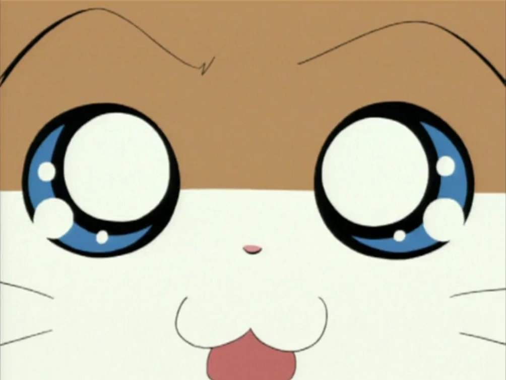 Hamtaro Sparkle Episode